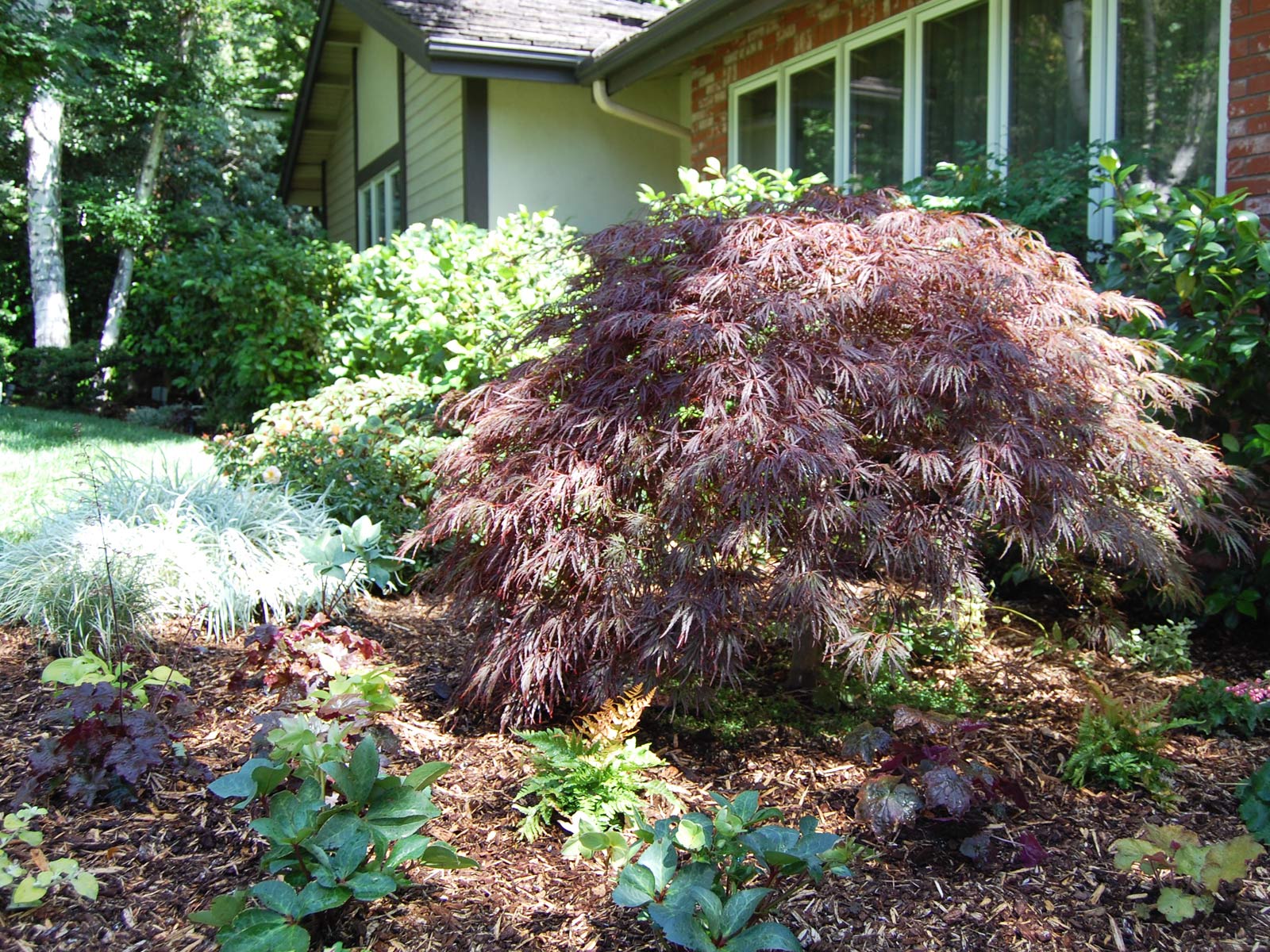 Plant Design & Installation