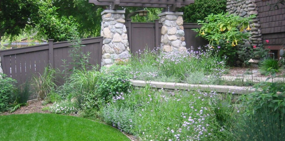 Plant Design & Installation