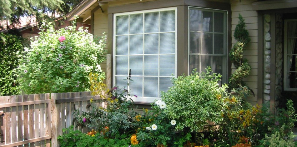 Plant Design & Installation