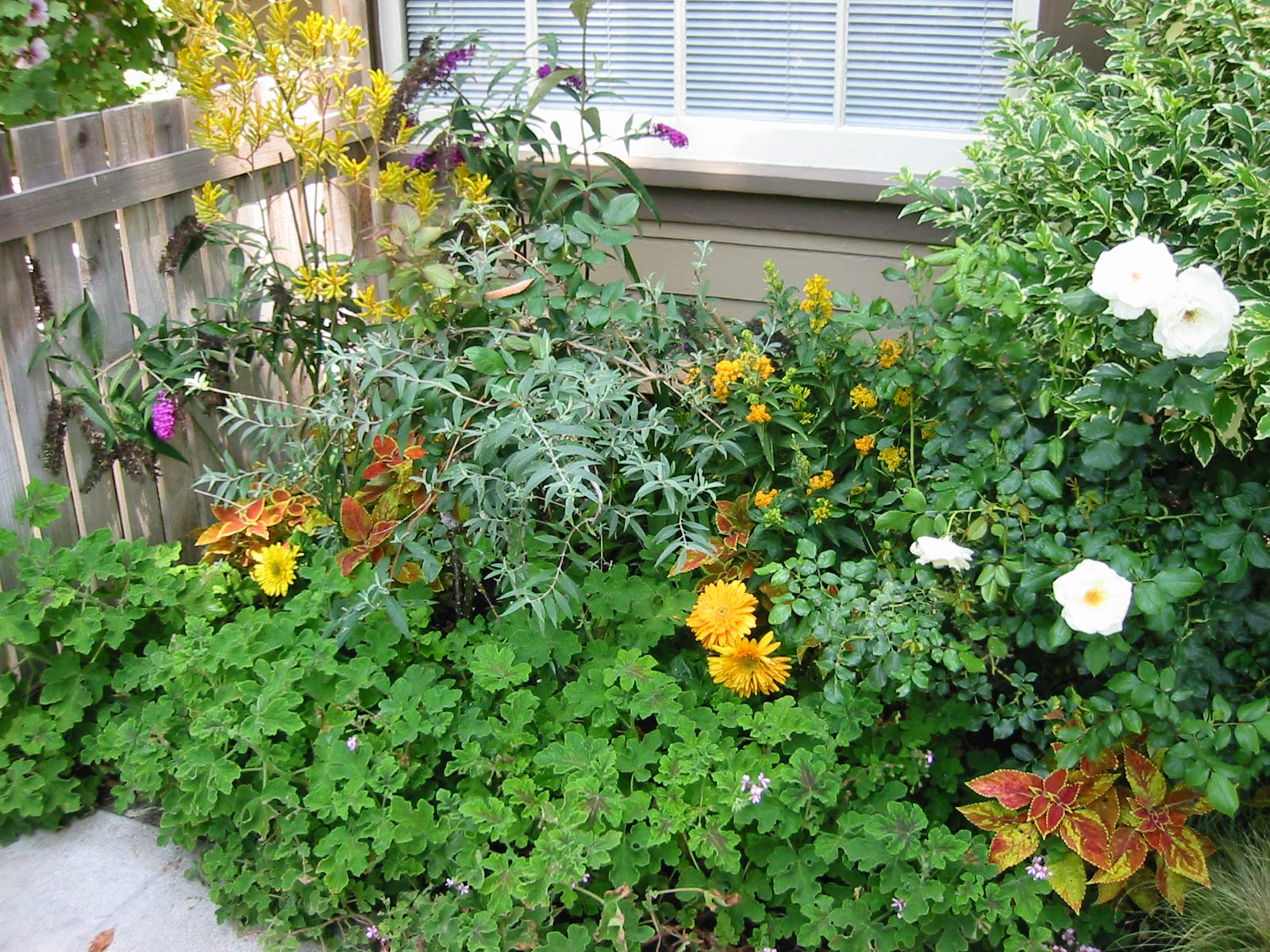 Plant Design/Installation - Portfolio | Horizon Landscaping of Pasadena